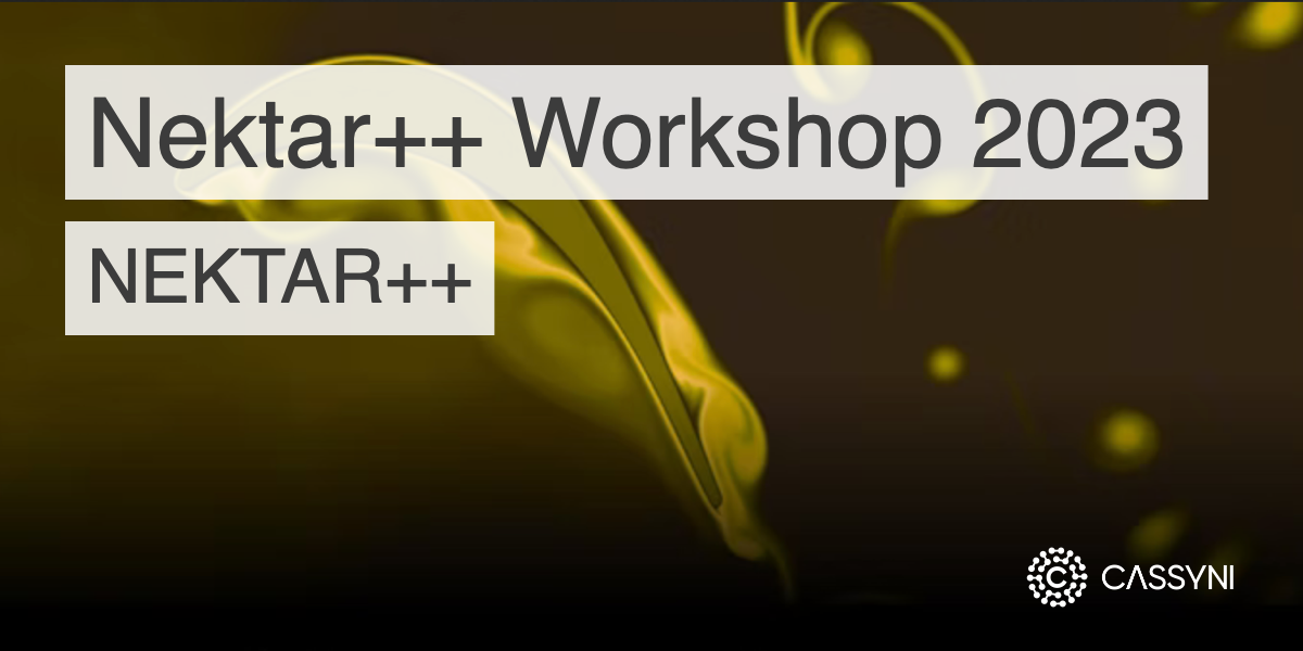 Nektar++ Workshop 2023 - Schedule of sessions · Cassyni
