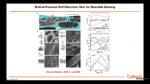 (VIDEO) Skin-Interfaced Wearable Biosensors - presented by Prof. Wei ...