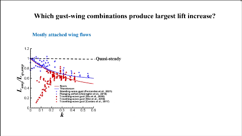 (VIDEO) Experimental Simulation of Gust – Wing Interactions - presented ...