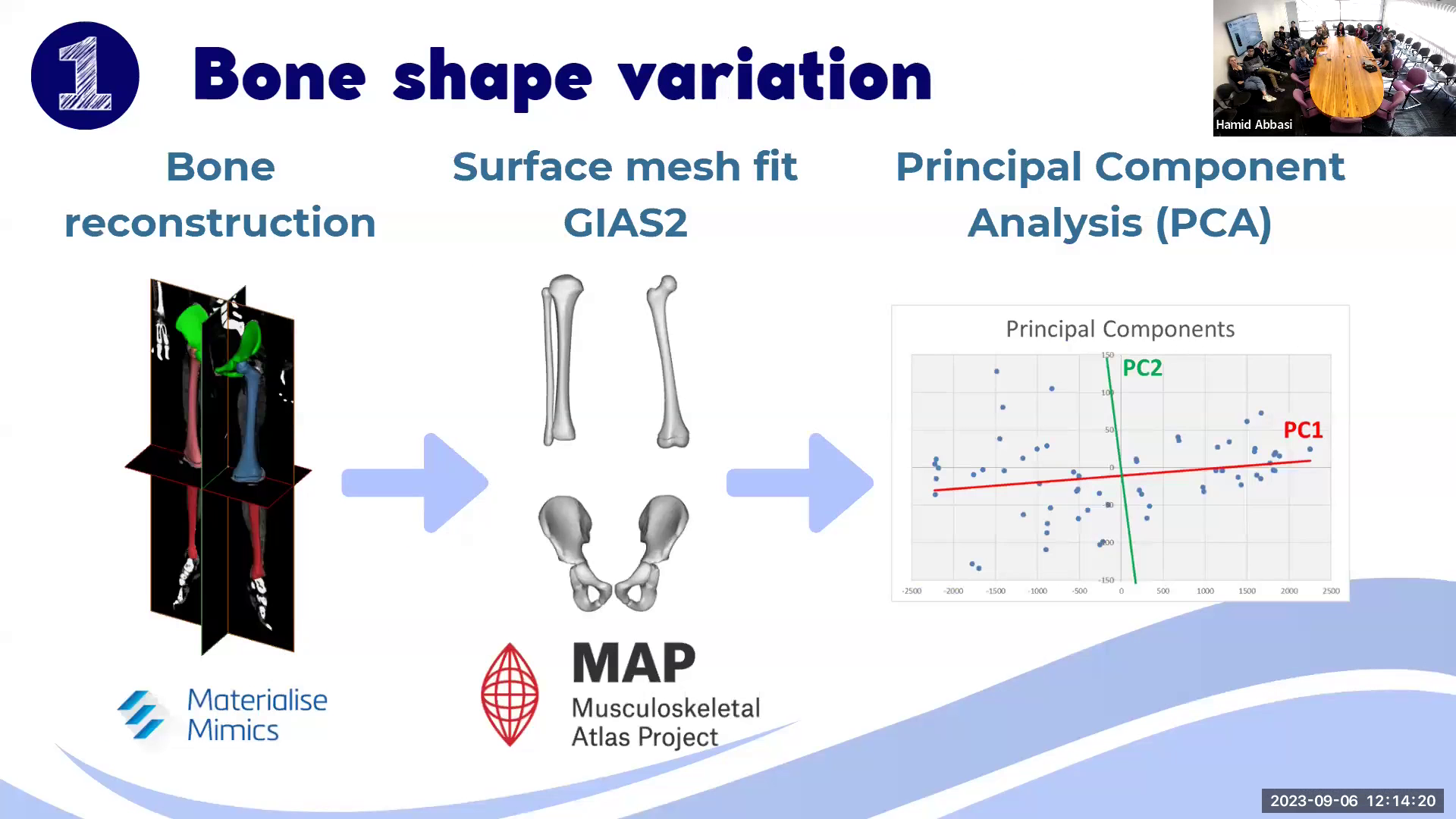 Slide 14/39 at 11:42: Bone shape variation