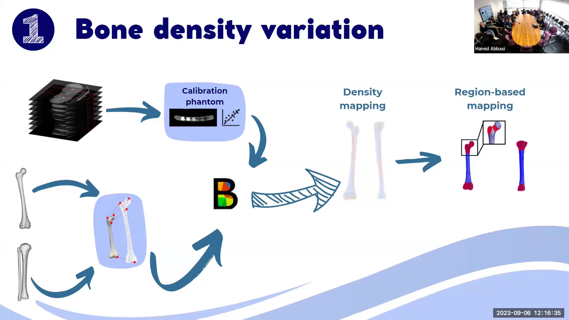 Slide 16/39 at 13:56: Bone density variation