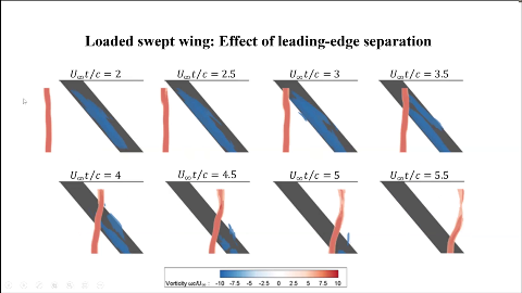 (VIDEO) Experimental Simulation of Gust – Wing Interactions - presented ...