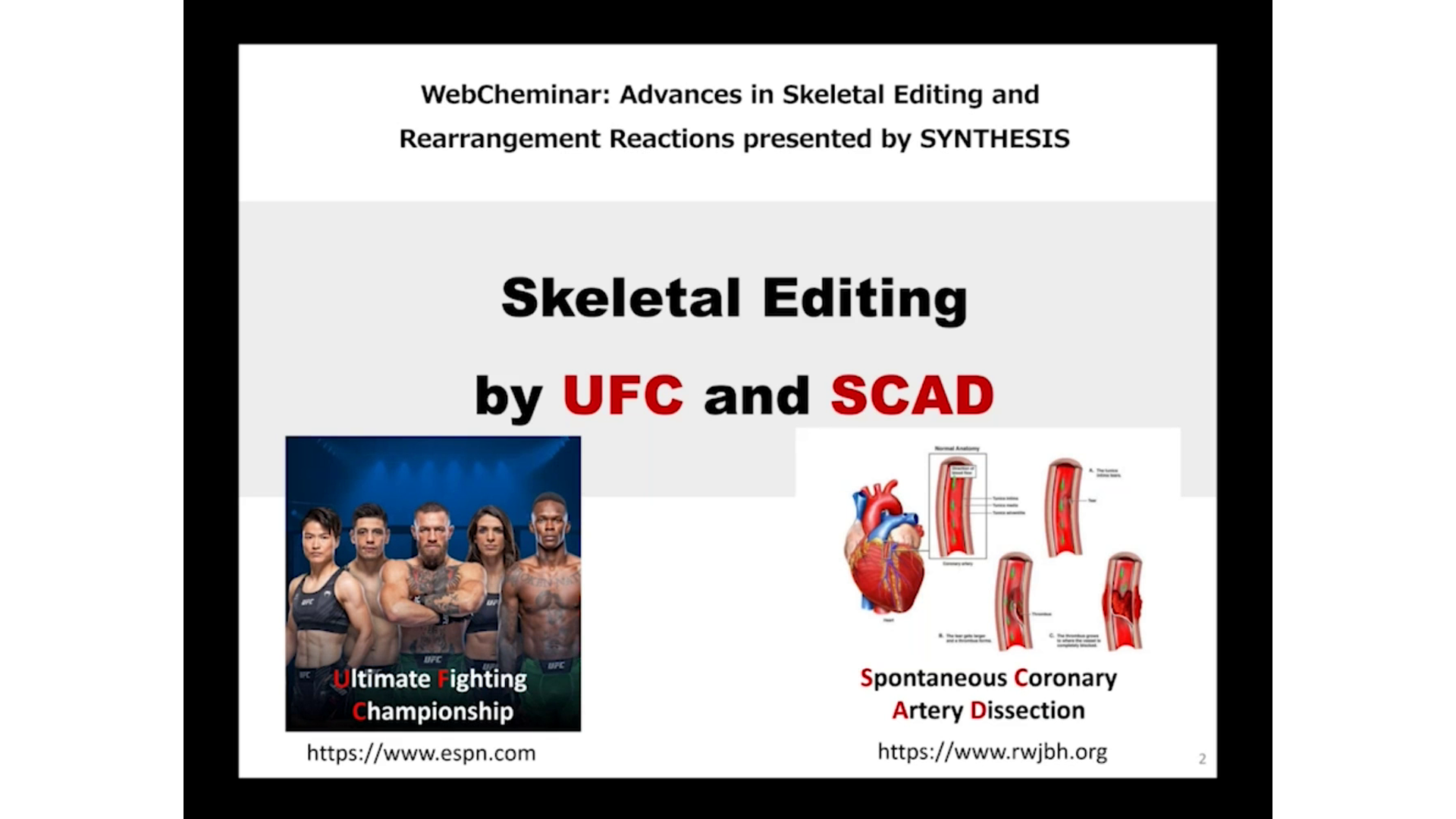 Slide 12/73 at 12:22: WebCheminar: Advances in Skeletal Editing and