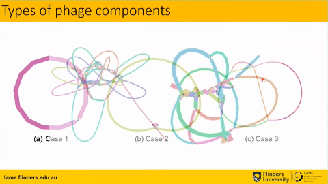Slide 32/59 at 17:55: Types of phage components
