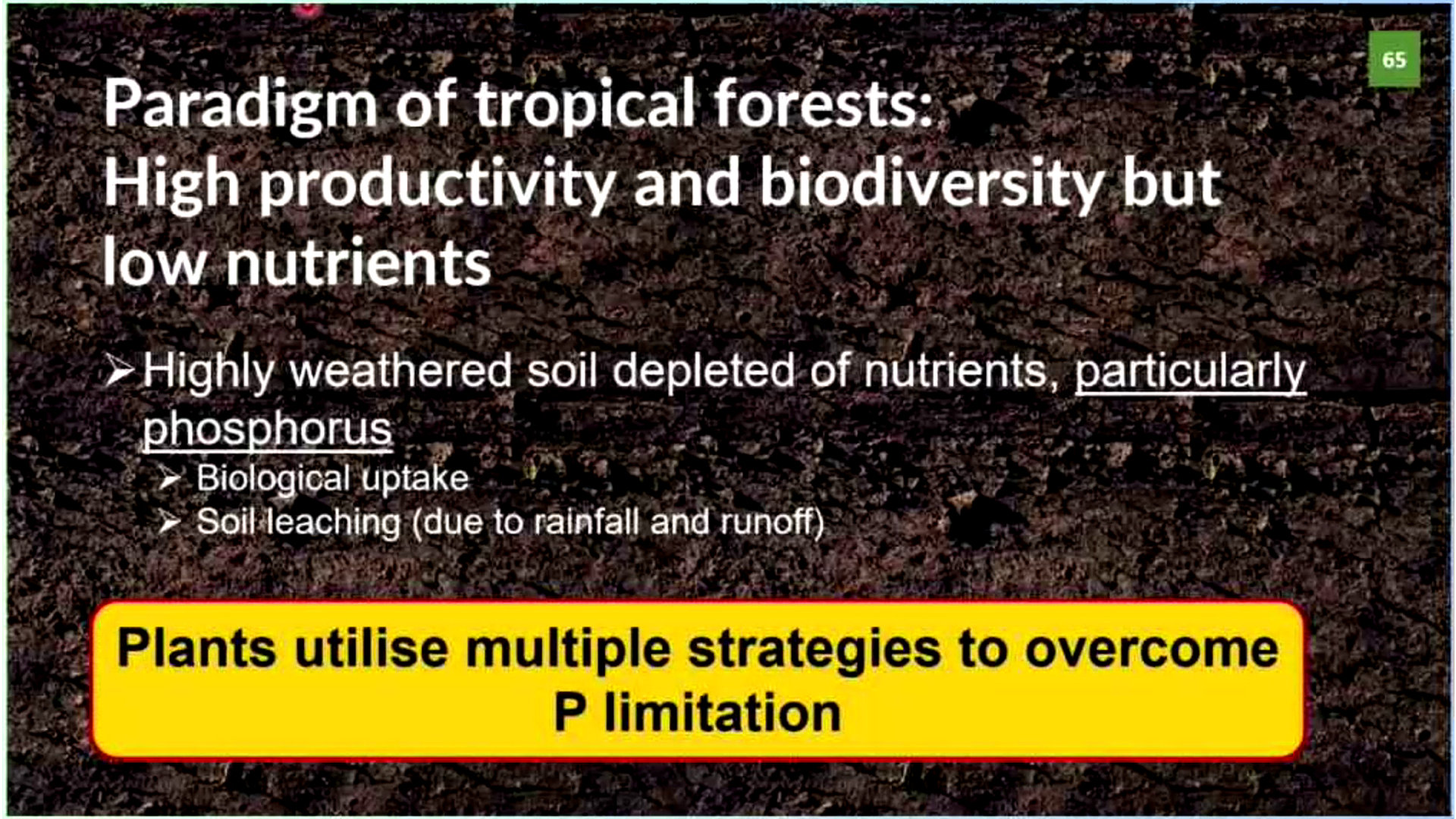 Slide 56/98 at 52:24: Paradigm of tropical forests: High productivity ...