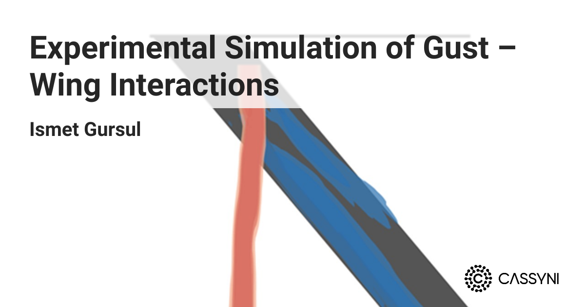 Experimental Simulation of Gust – Wing Interactions - presented by Prof ...