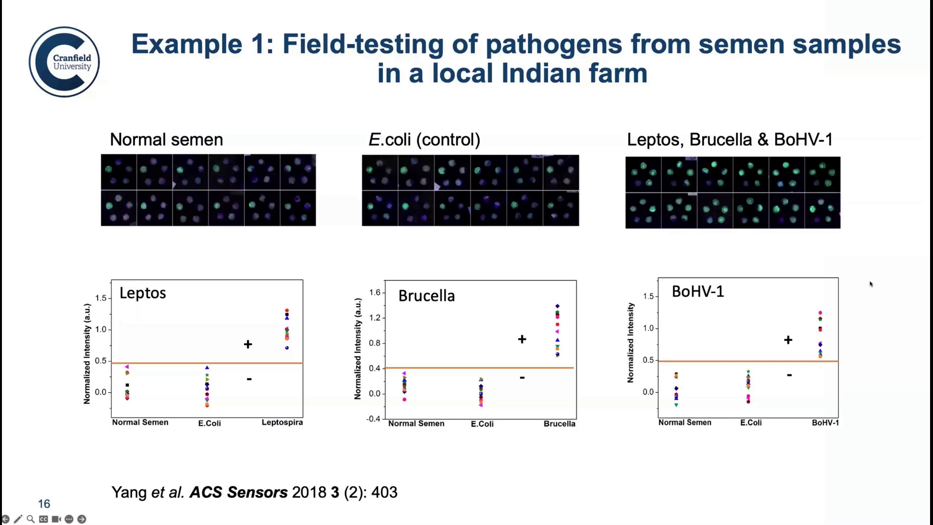Slide 23/48 at 39:18: Example 1: Field-testing of pathogens from semen ...