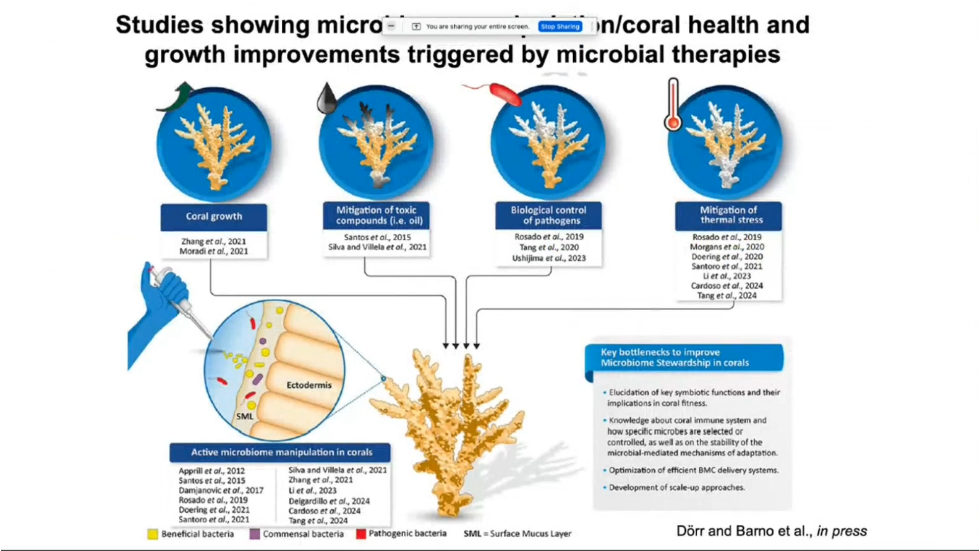 Slide 11/18 at 07:03: growth improvements triggered by microbial therapies
