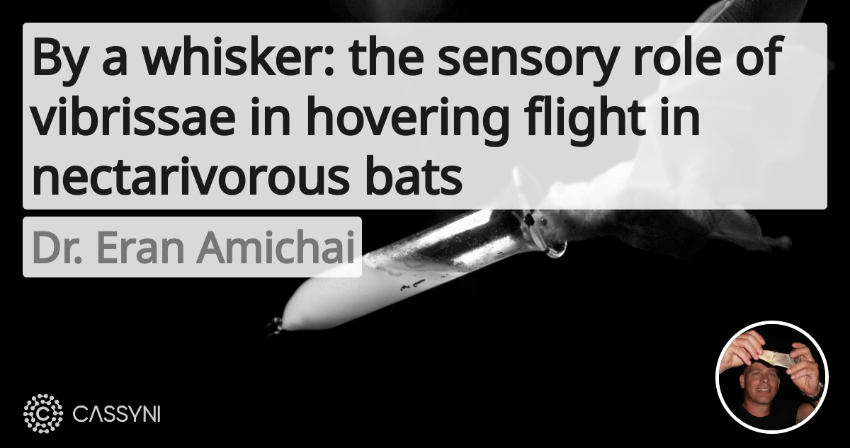 By a whisker: the sensory role of vibrissae in hovering flight in ...