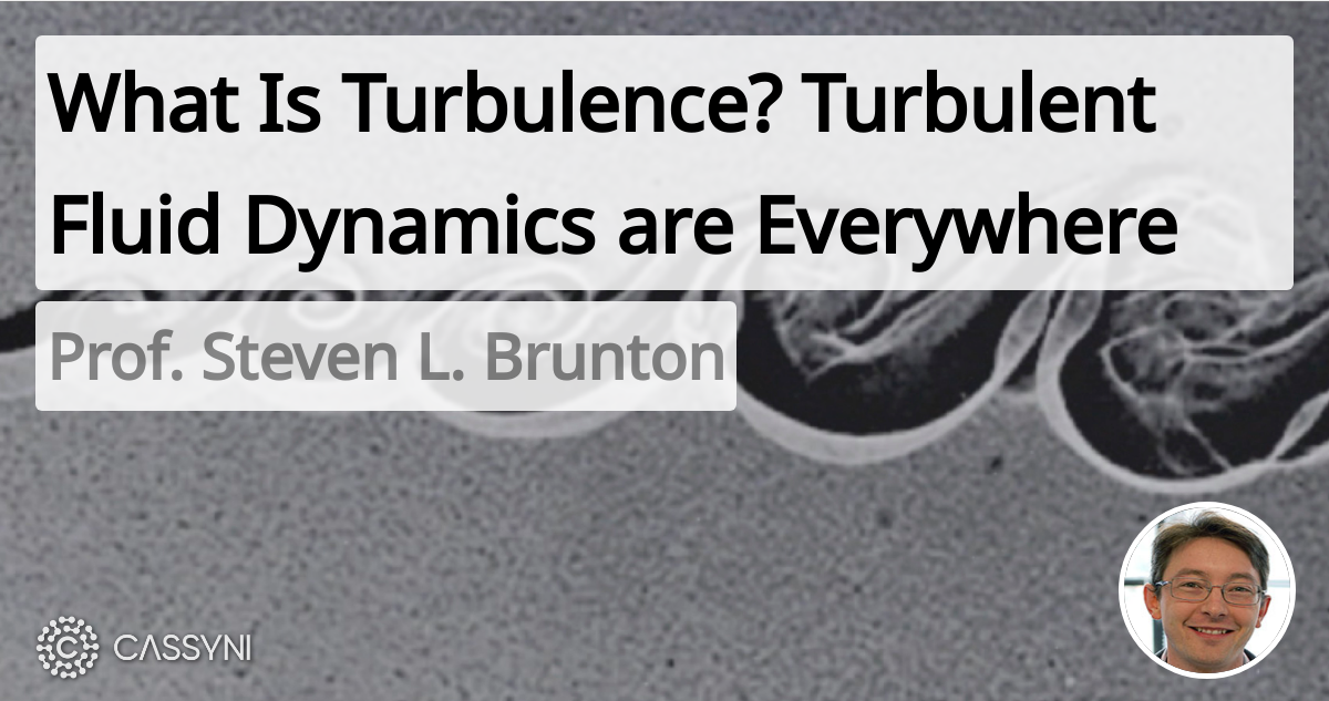 What Is Turbulence? Turbulent Fluid Dynamics are Everywhere - presented by Prof. Steven L. Brunton
