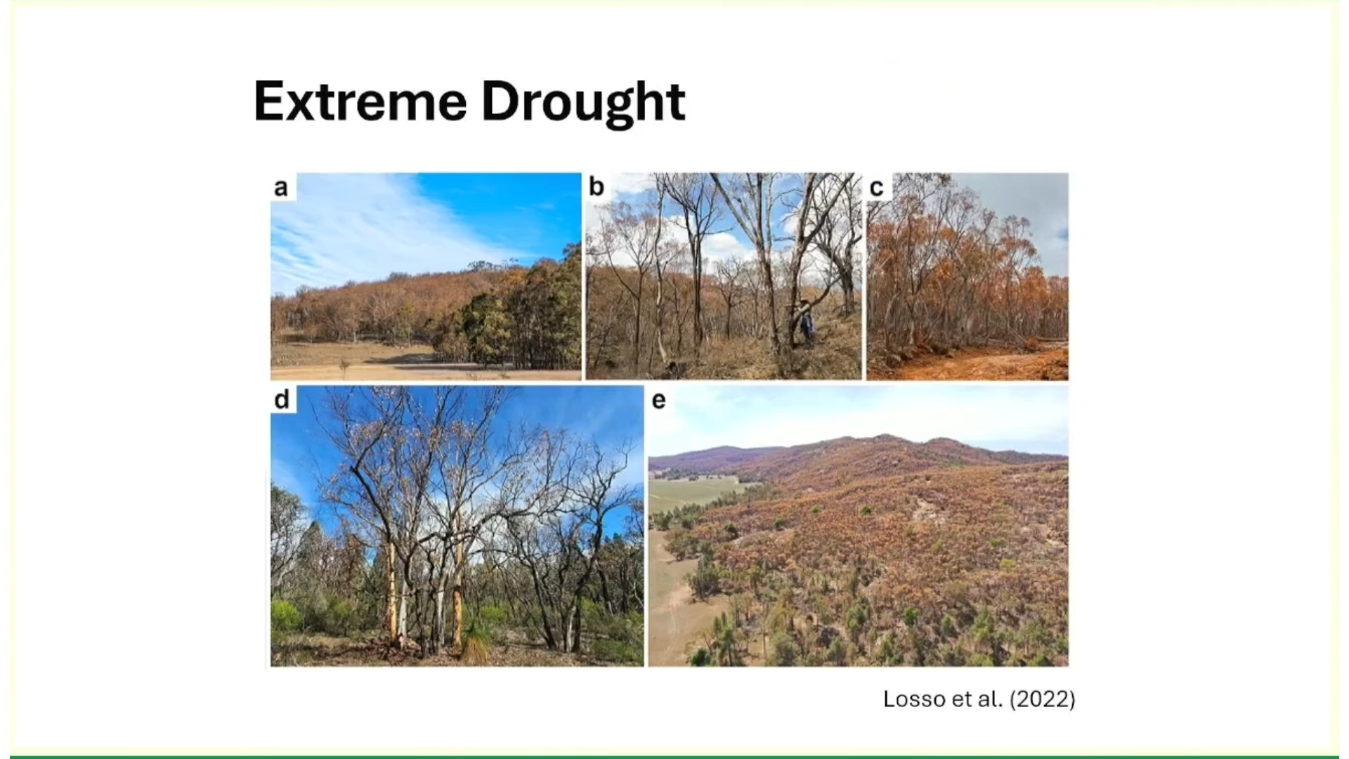 Slide 19/27 at 19:15: Extreme Drought