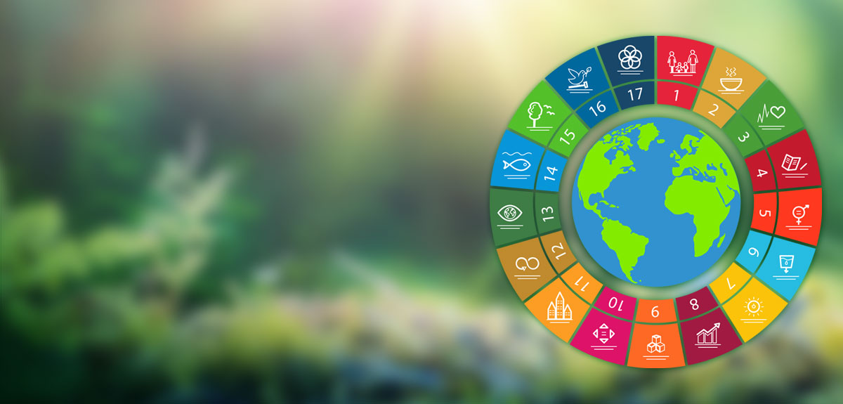 Green & Sustainable Science & Engineering · Cassyni