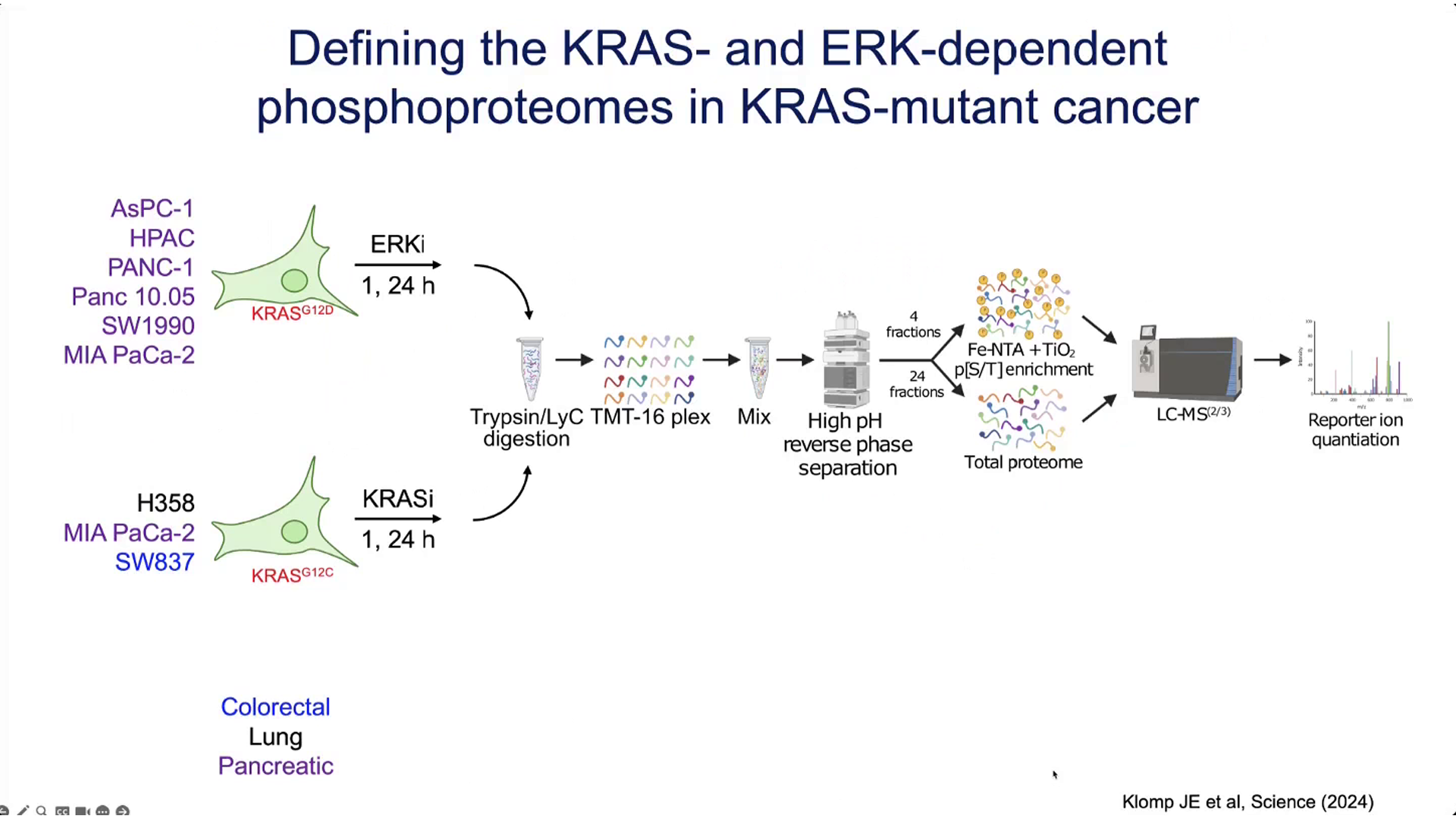 Slide 48/73 at 26:00: Defining the KRAS- and ERK-dependent