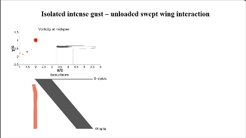 (VIDEO) Experimental Simulation of Gust – Wing Interactions - presented ...