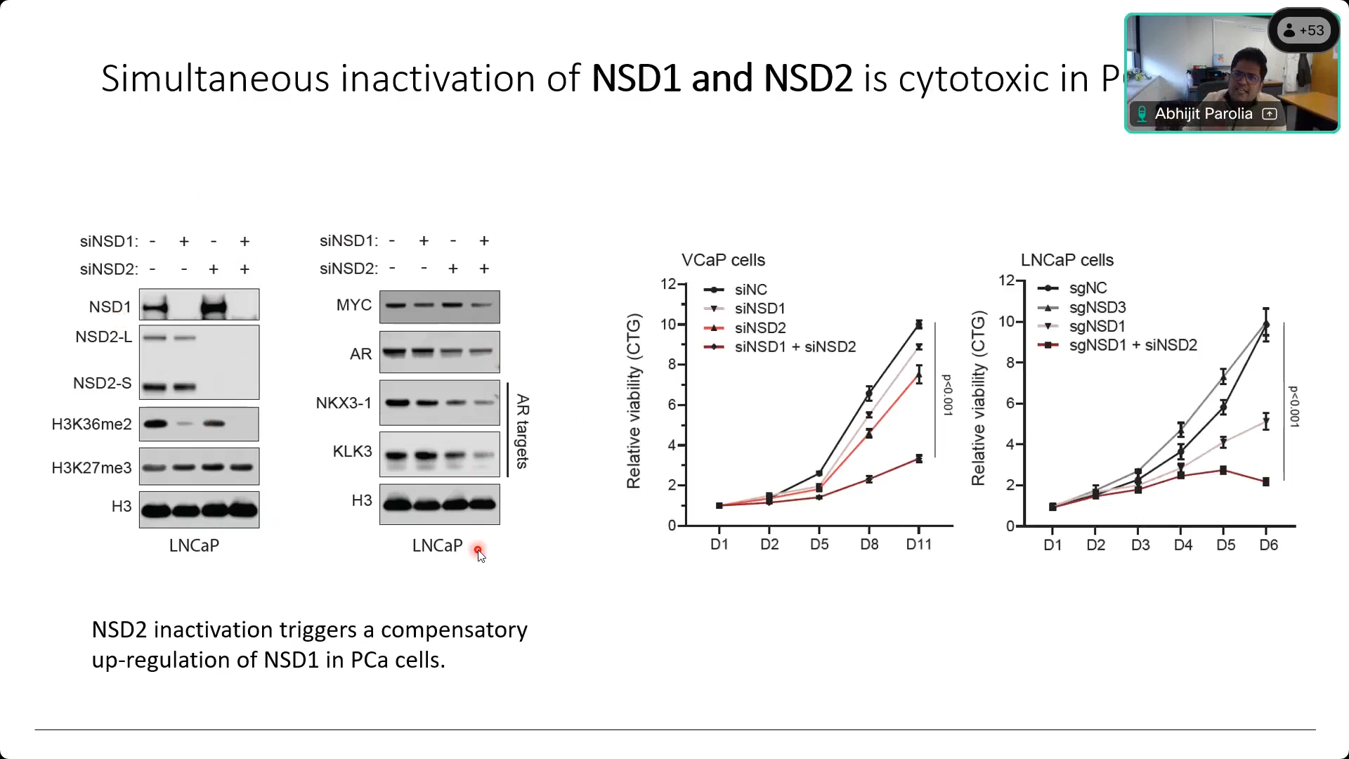 Slide 32/42 at 42:50: NSD2 inactivation triggers a compensatory up ...