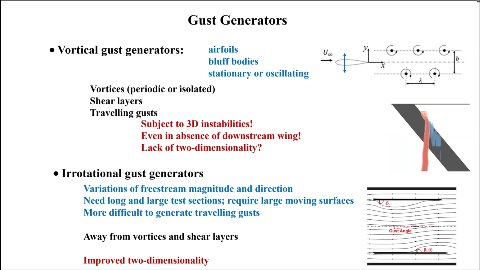 (VIDEO) Experimental Simulation of Gust – Wing Interactions - presented ...