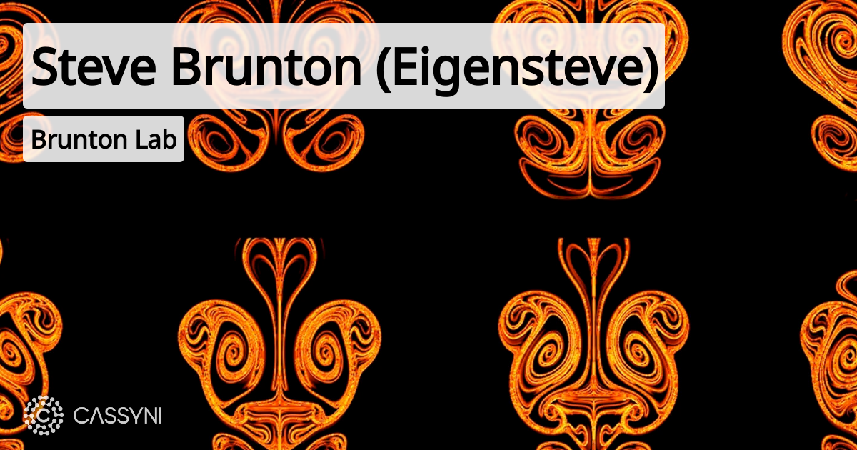 Steve Brunton (Eigensteve)